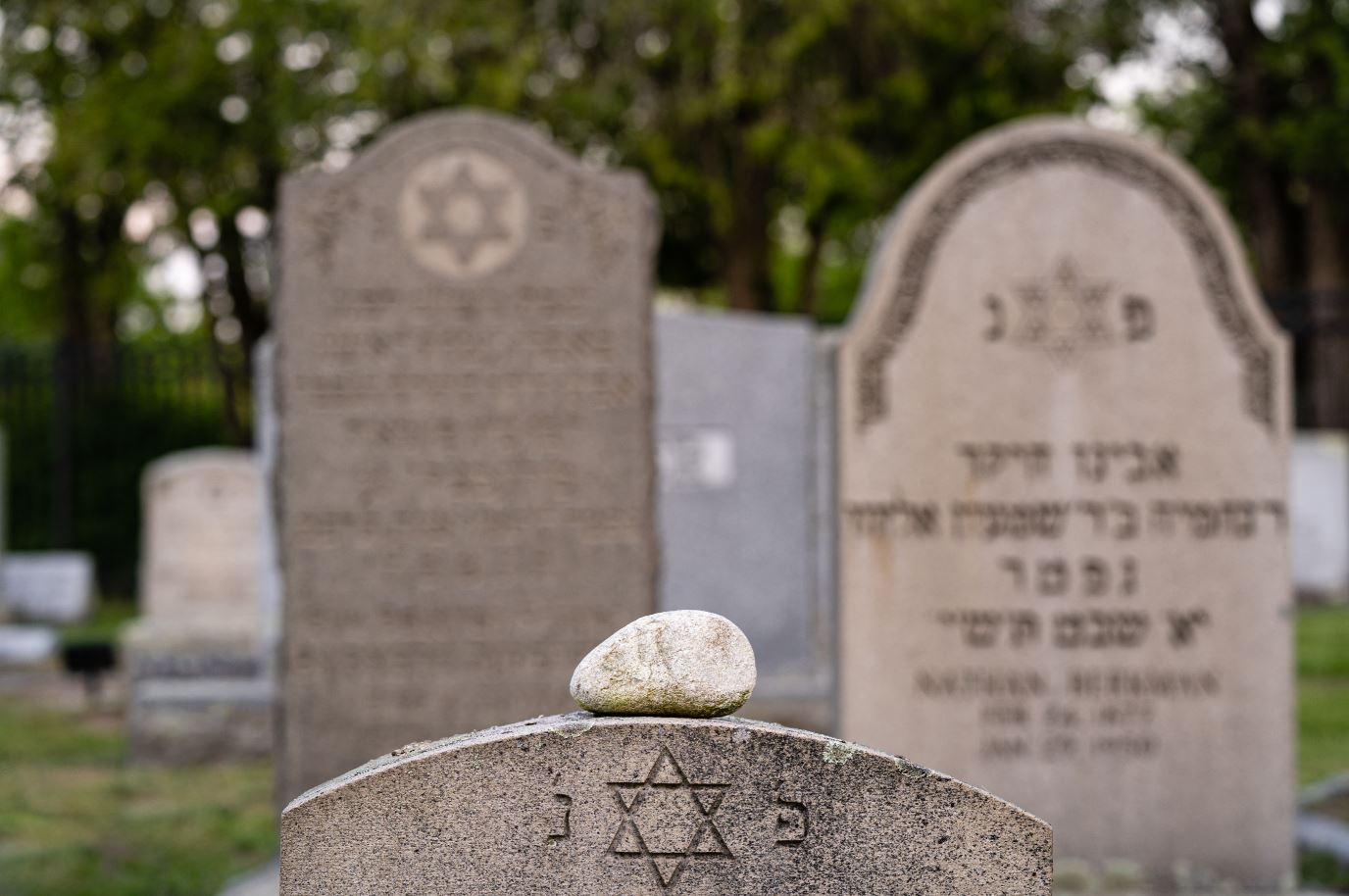 Home - Norwich Hebrew Benevolent Association | Norwich Hebrew ...